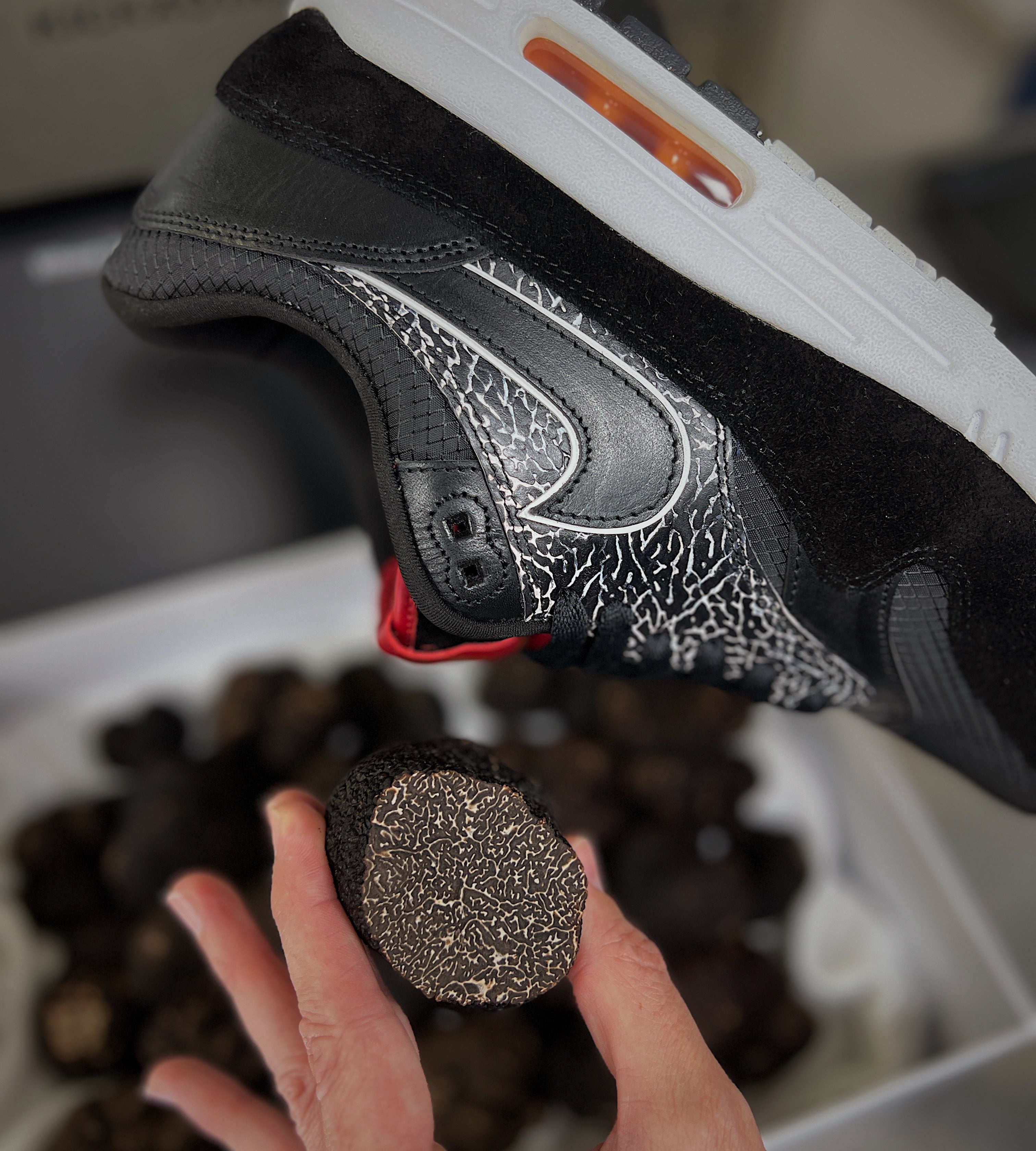 Custom Footwear Studio - KICKXOTIC